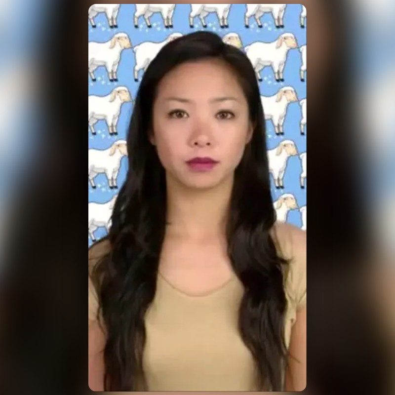 segmentation sheep Filter by captainrr12 | Snapchat Lenses