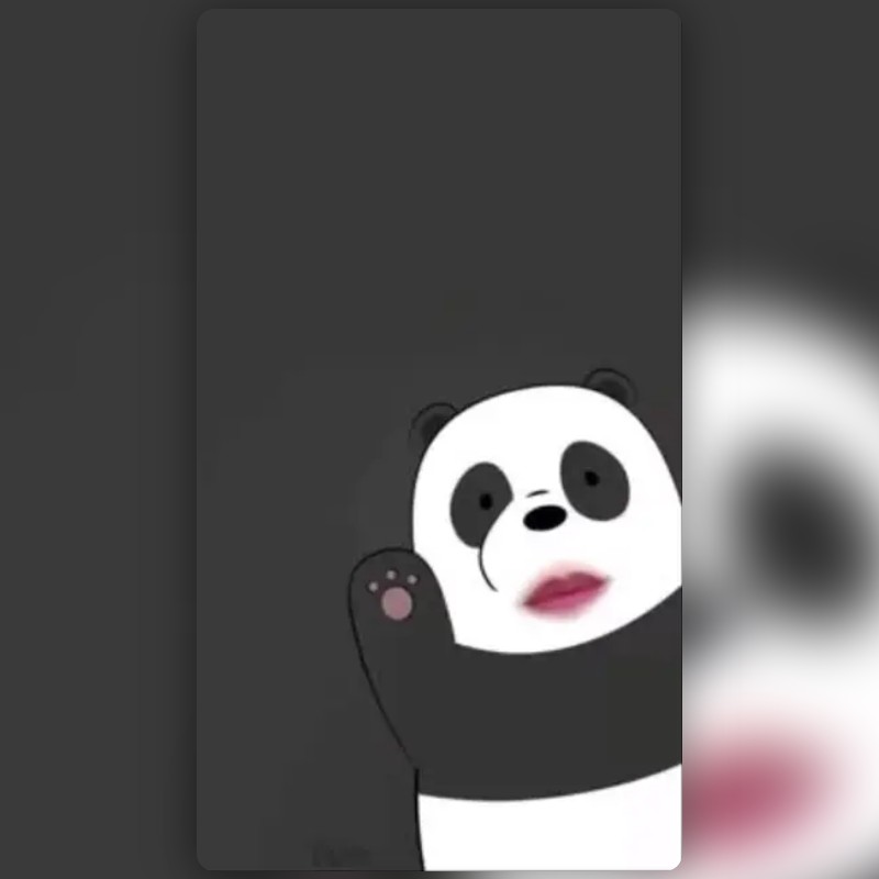 Splendid Panda Lens by Chae Rina - Snapchat Lenses and Filters