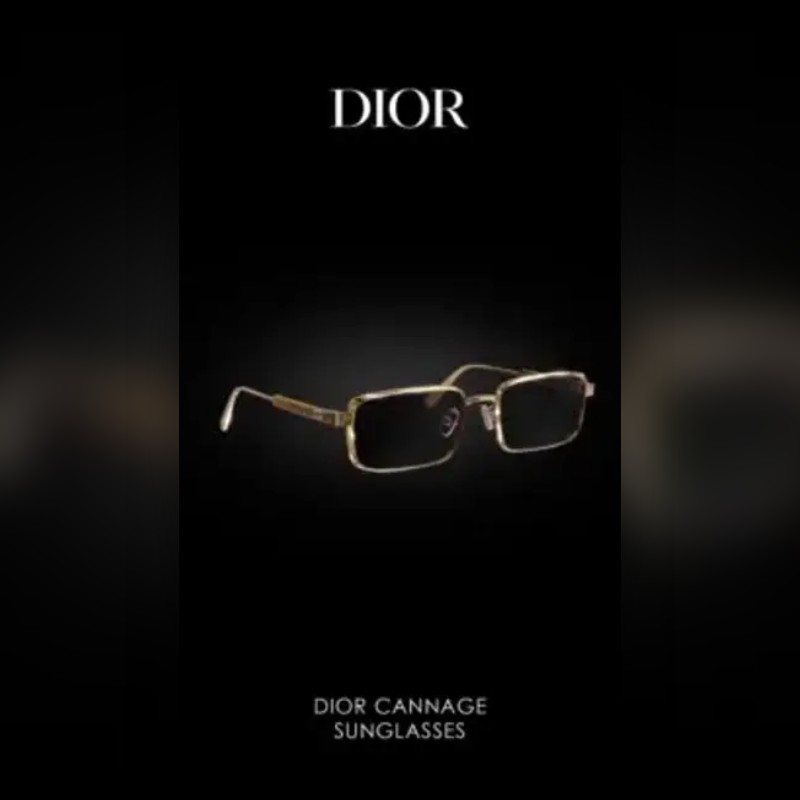 Dior Cannage Filter by Dior | Snapchat Lenses