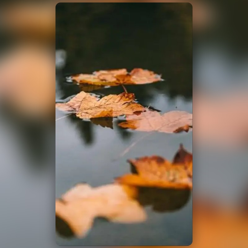 nature Lens by Special - Snapchat Lenses and Filters