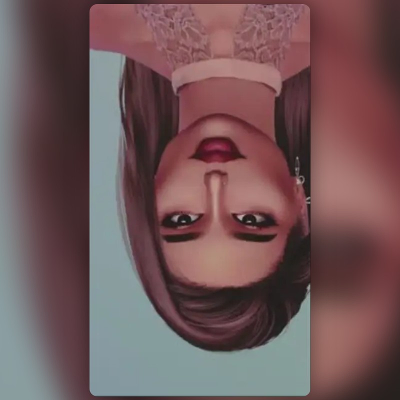 upside down Filter by 𝙝𝙚𝙨𝙨𝙖 🍋 | Snapchat Lenses