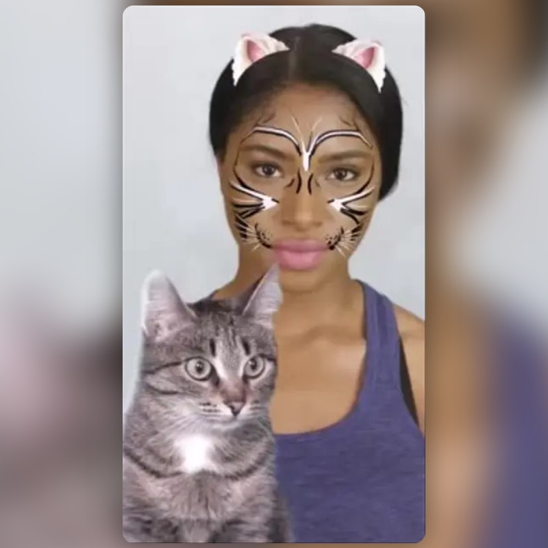 Cat Accessories Filter by ༺ÁĹŐŃĔ×͜×PŔĨŃČĔ༻ | Snapchat Lenses