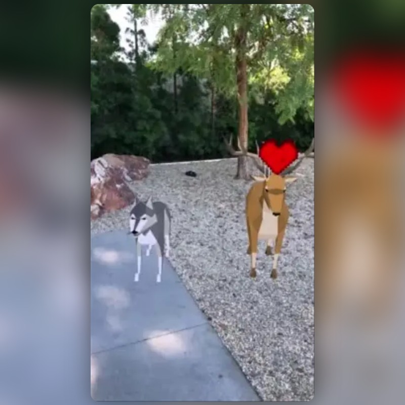 In The Wild Lens by Andre Elijah - Snapchat Lenses and Filters