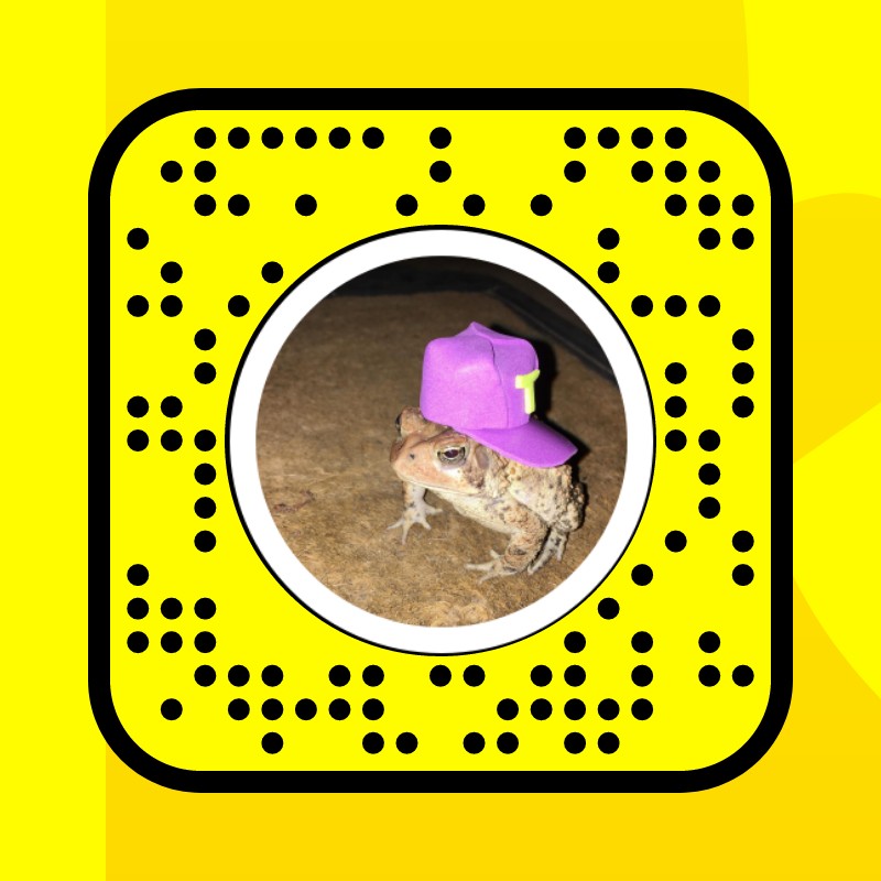 adas emo Filter by violet maybruck | Snapchat Lenses