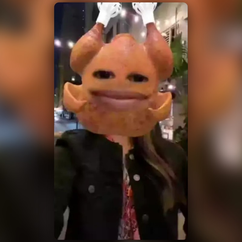 Chicken lover Lens by ║ ║꧁محمد شاہنواز꧂MaLiK║ ║ ║ - Snapchat Lenses and ...