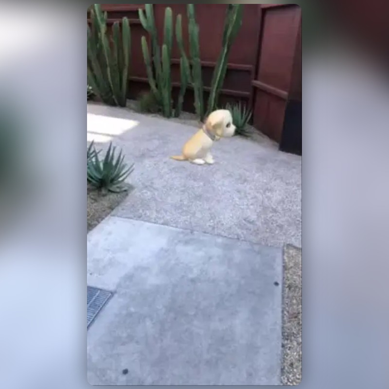 Controllable Puppy Filter by CaL | Snapchat Lenses
