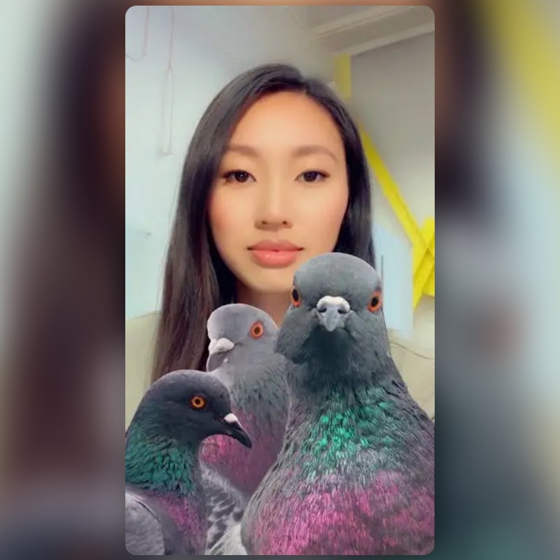 Pigeons Lens by Snapchat - Snapchat Lenses and Filters