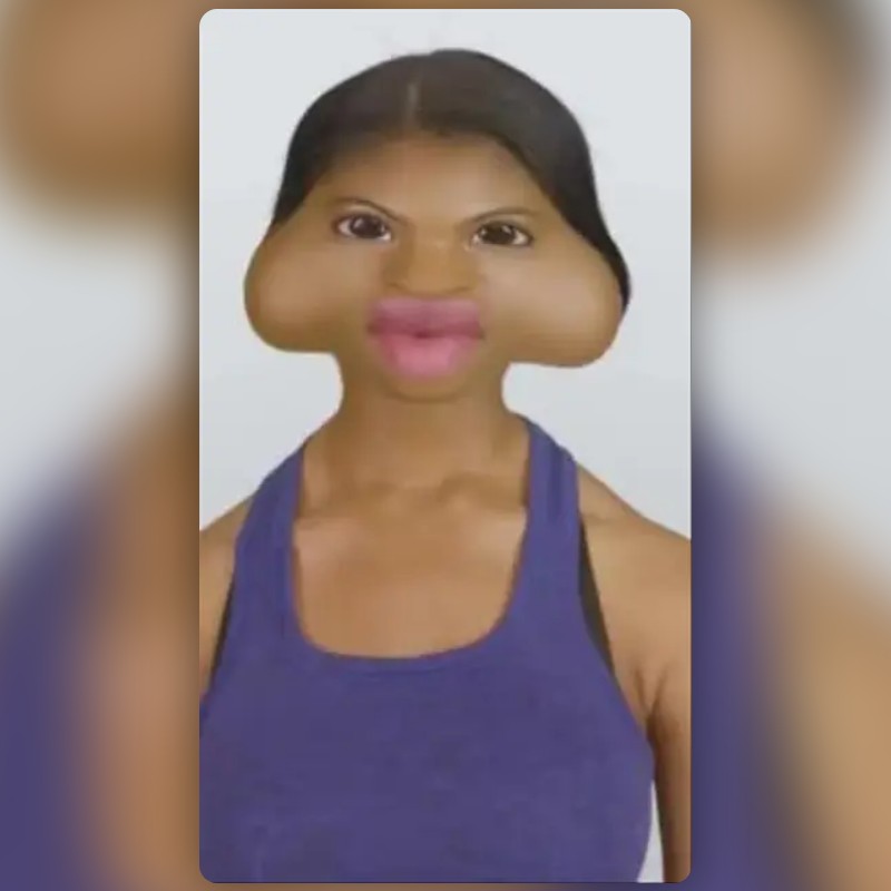Chipmunk Filter by Ryan | Snapchat Lenses