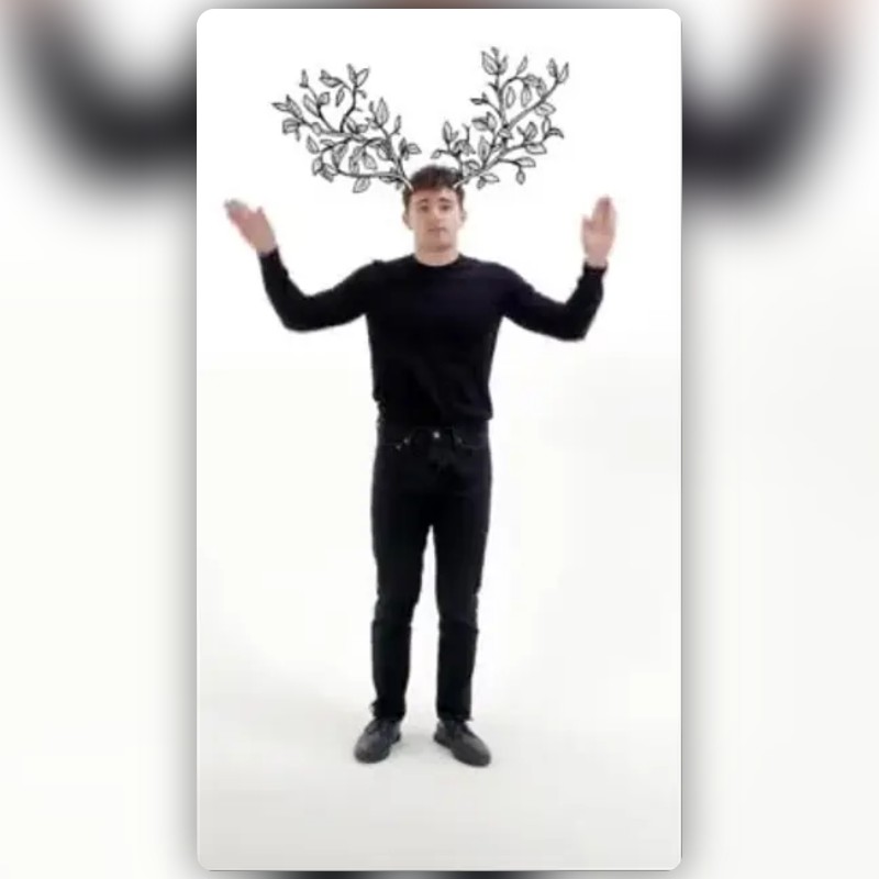 tree branches Filter by Snapchat | Snapchat Lenses