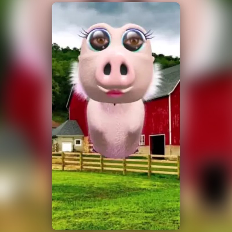 Piggy Lens by Phil Walton - Snapchat Lenses and Filters