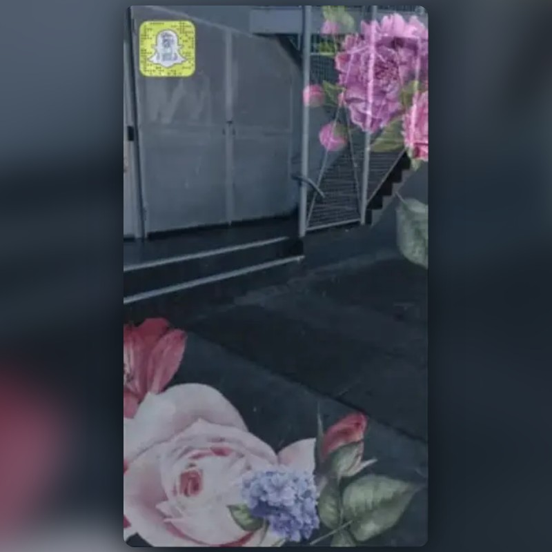 flower Filter by like i | Snapchat Lenses