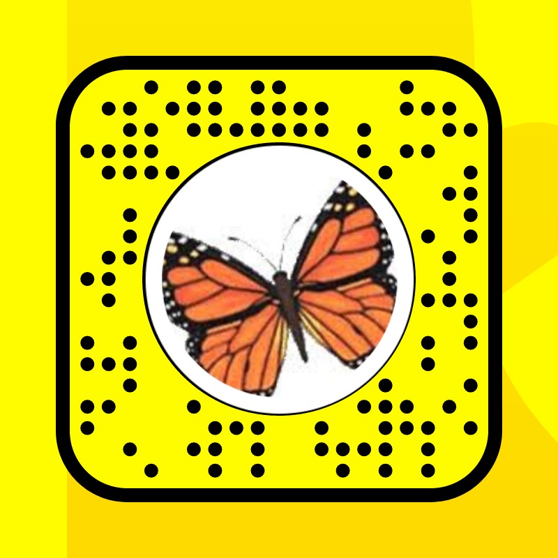 Butterfly-Blush Filter by Nasia | Snapchat Lenses