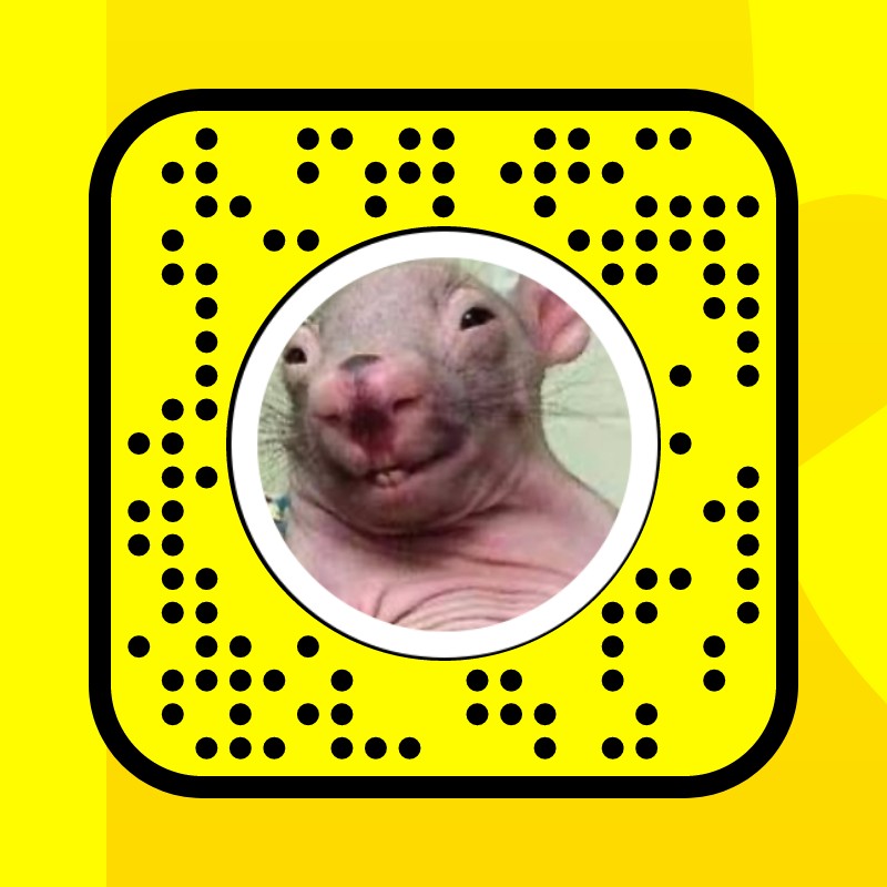 mole rAt Lens by alana - Snapchat Lenses and Filters