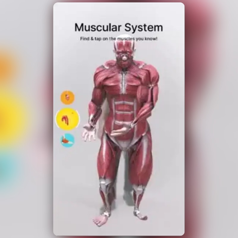 Inside Humans Lens by Snapchat - Snapchat Lenses and Filters