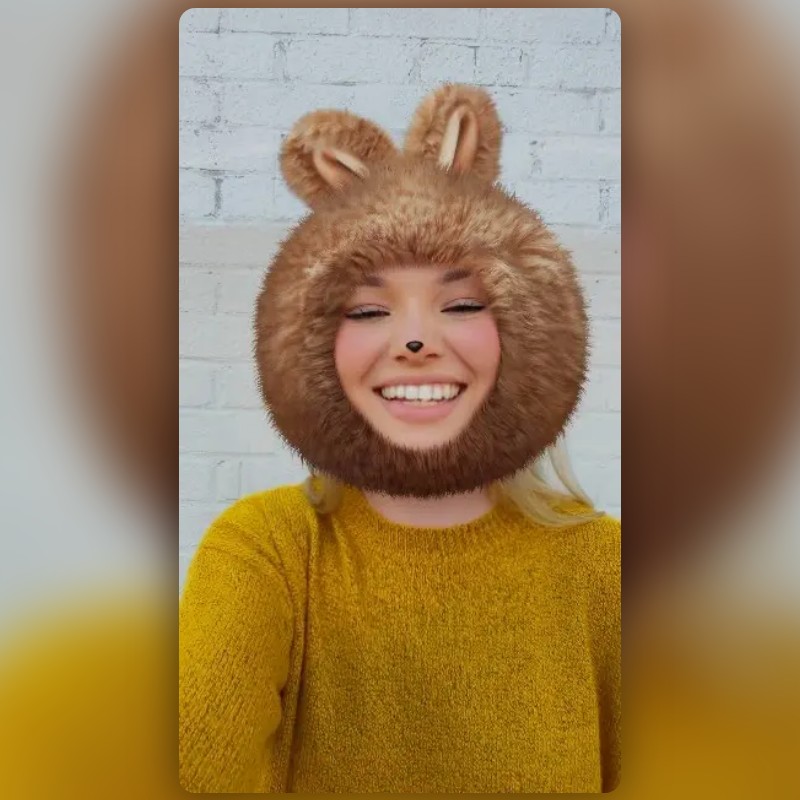 Cute Bunny Head Filter by Snapchat | Snapchat Lenses
