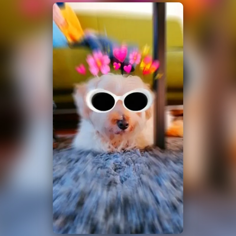 clout goggles Lens by Eline💌 - Snapchat Lenses and Filters