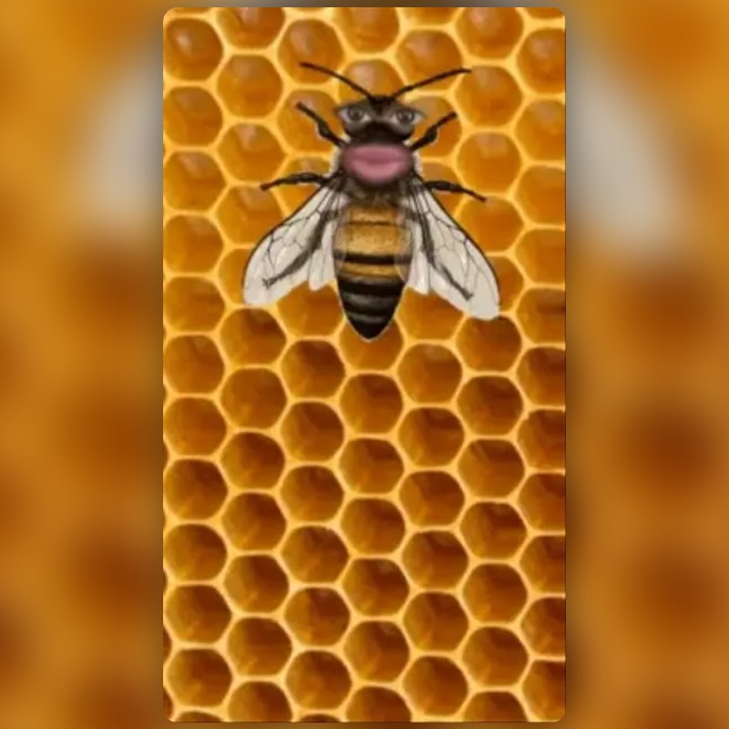 bee Lens by Harolyn - Snapchat Lenses and Filters