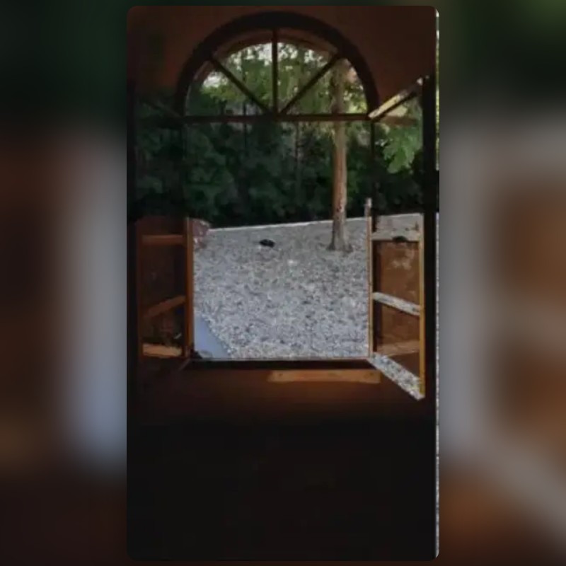 Sparkling Window Lens by Danielle Grace - Snapchat Lenses and Filters