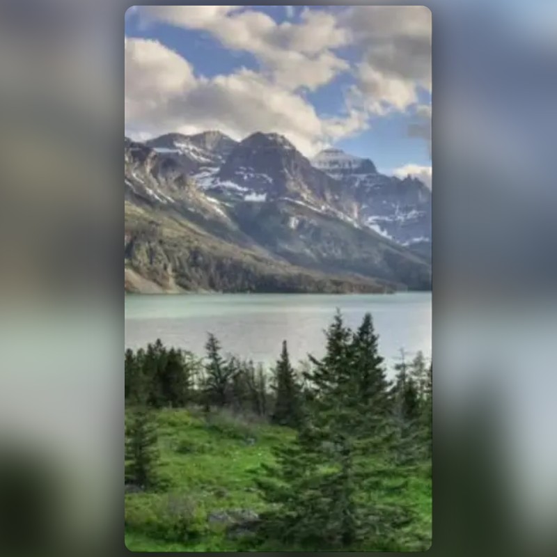 Trees Lens by حكاية عدسة | KHALED - Snapchat Lenses and Filters