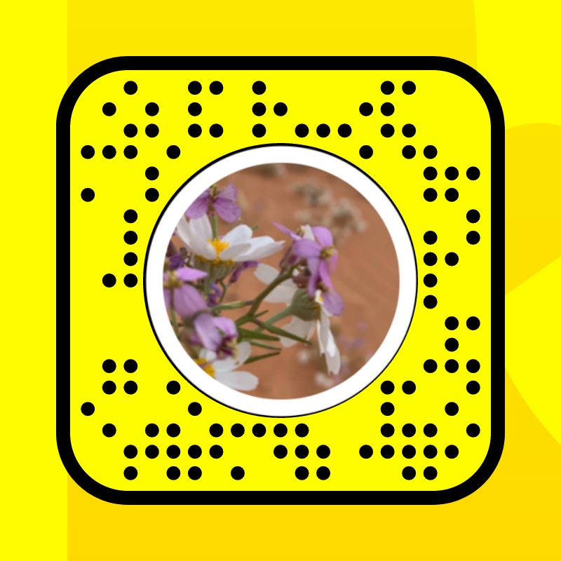 Ghhhh Filter by تطبيق فلترك | Snapchat Lenses