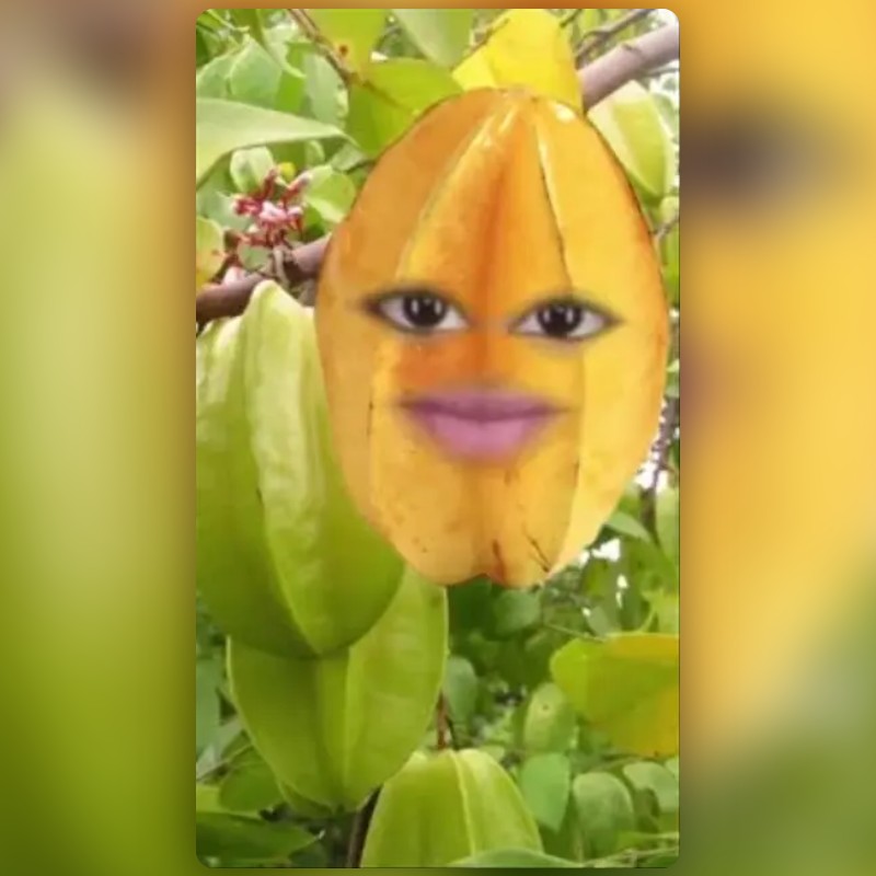 Starfruit Face Lens by Anastasia Berliana - Snapchat Lenses and Filters