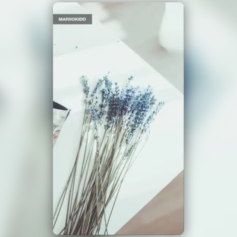 Lavender Lens by MARIO KIDD - Snapchat Lenses and Filters