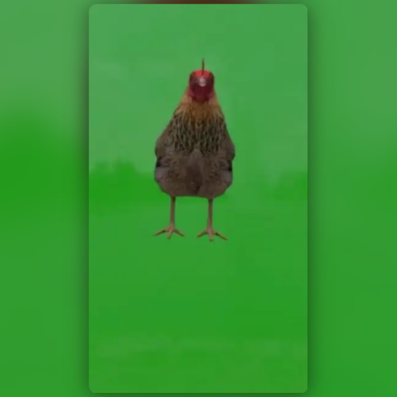 Dry Chicken Lens by Sara - Snapchat Lenses and Filters