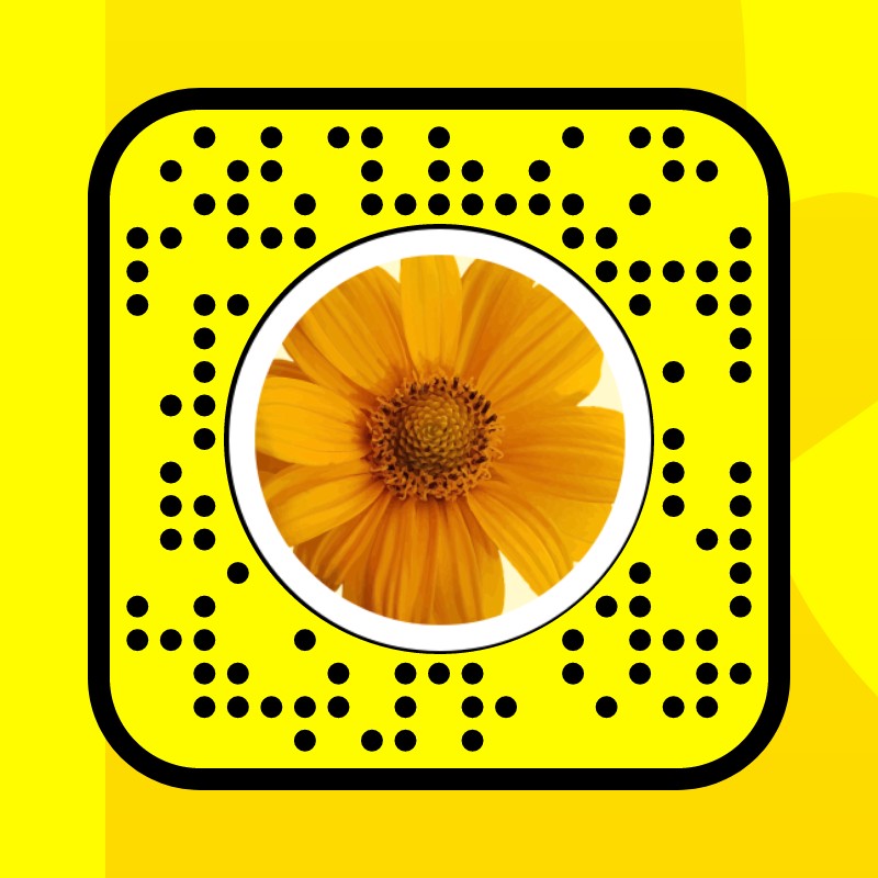 yellow flower Filter by mia puebla | Snapchat Lenses