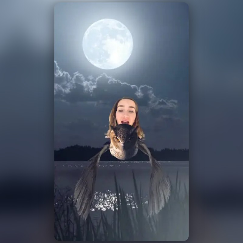 Night Owl Filter by Snapchat | Snapchat Lenses
