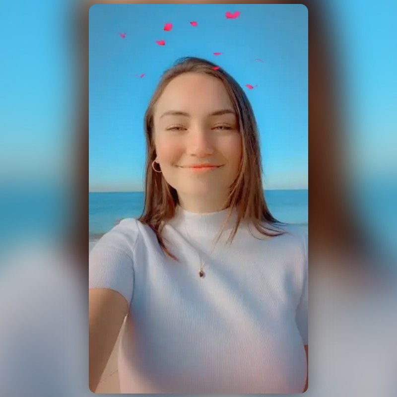 Butterfly Hearts Filter by Snapchat | Snapchat Lenses