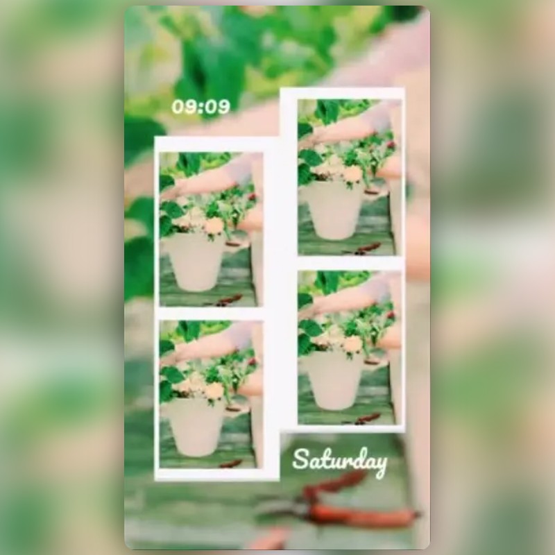 Flower Pot Lens by محمد - Snapchat Lenses and Filters