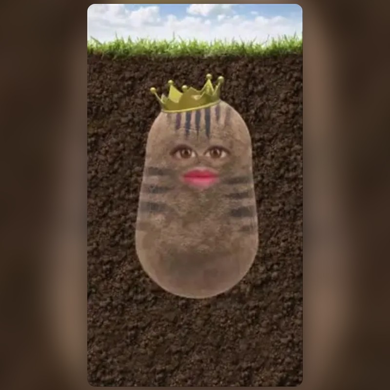 Tiger King Potato Lens by Phil Walton - Snapchat Lenses and Filters