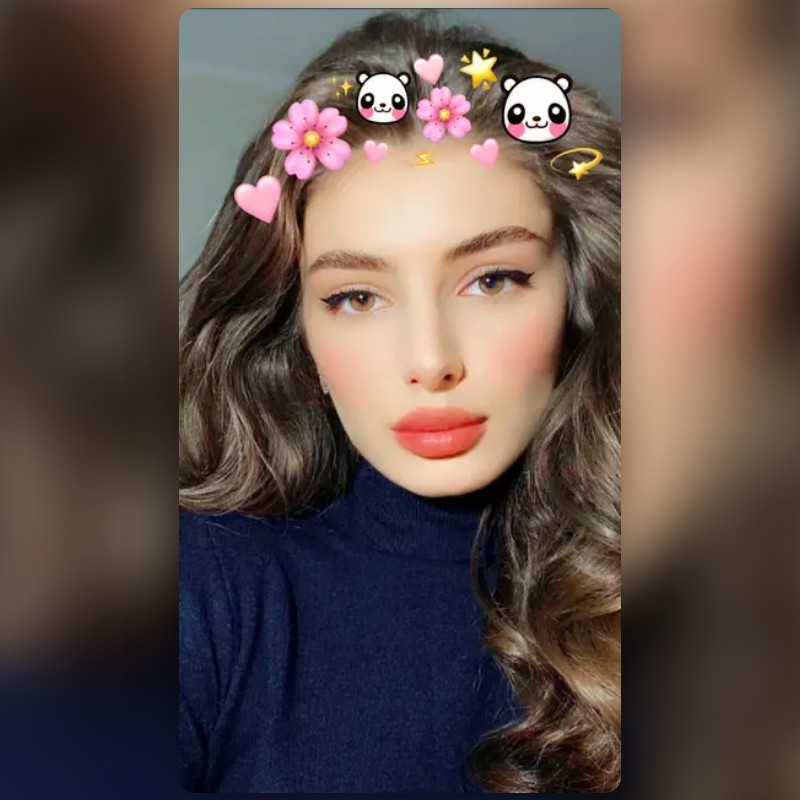 Emoji Panda Crown Lens by Sunny Bahadurpuria🎥 - Snapchat Lenses and Filters