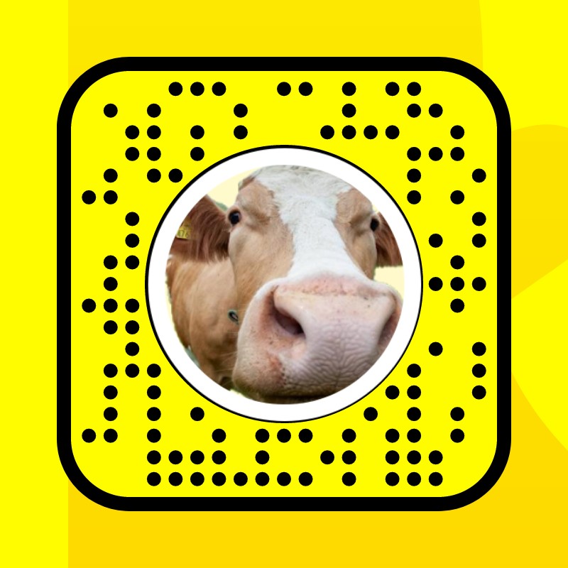 cow Filter by Elena Ciblsk | Snapchat Lenses