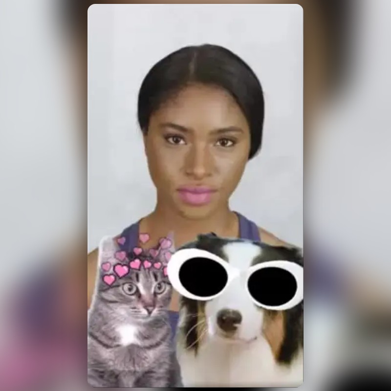 cat and dog filtre Filter by nad ʚ ᧔ෆ᧓ ɞ | Snapchat Lenses