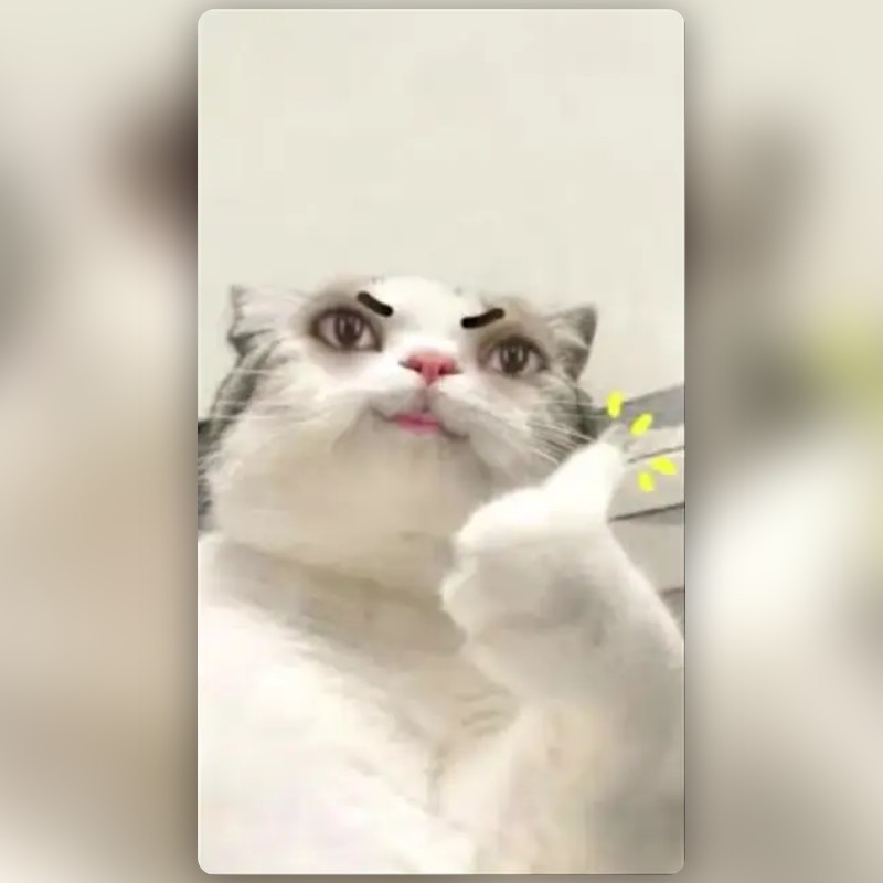 cat thumbs up Filter by Queeny | Snapchat Lenses