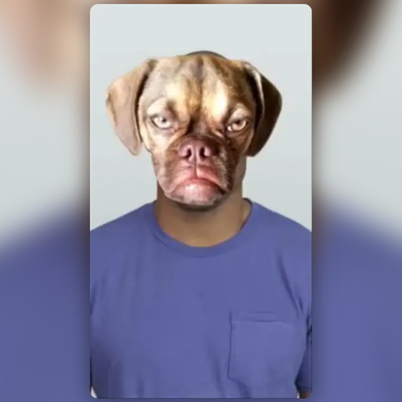 Grumpy Dog Lens by Rania - Snapchat Lenses and Filters