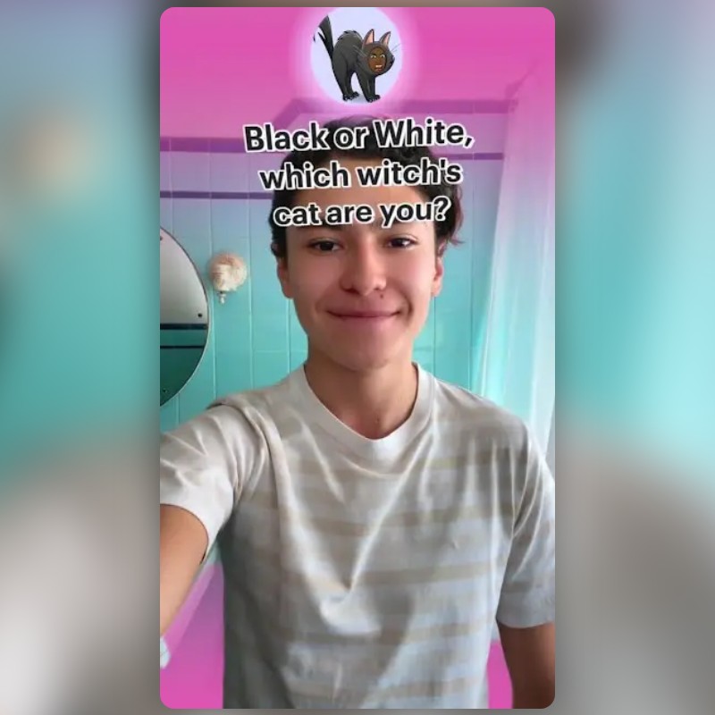 Witch's Cat Companion Filter by Snapchat | Snapchat Lenses