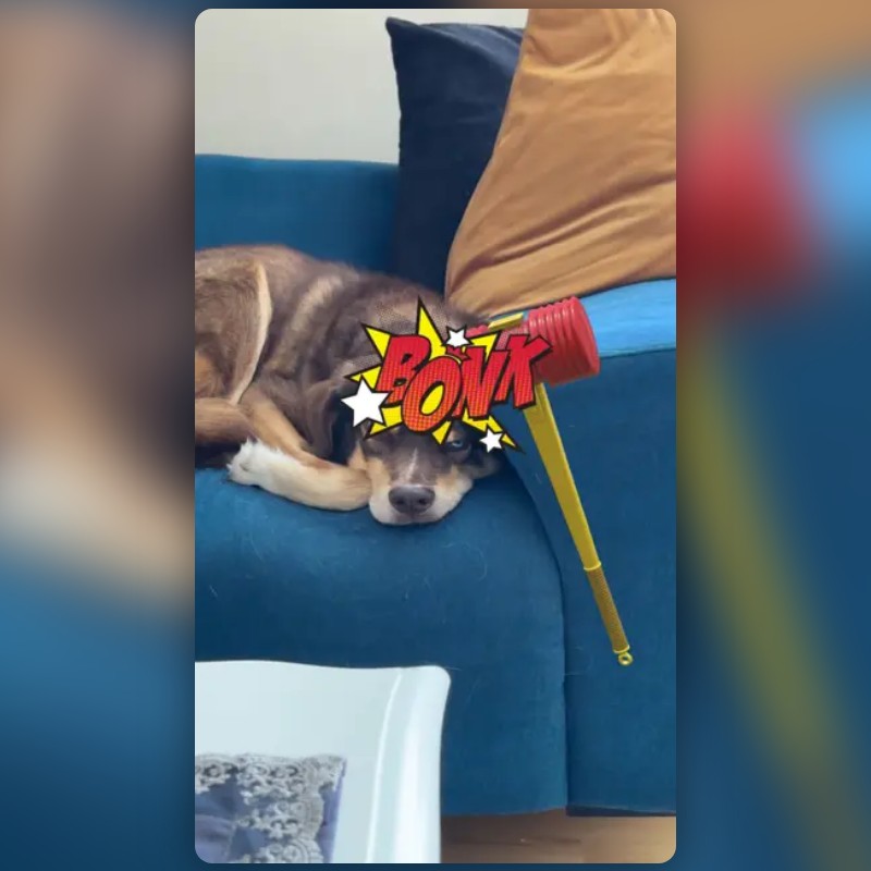 Bonk Lens by Kim Fellmann - Snapchat Lenses and Filters