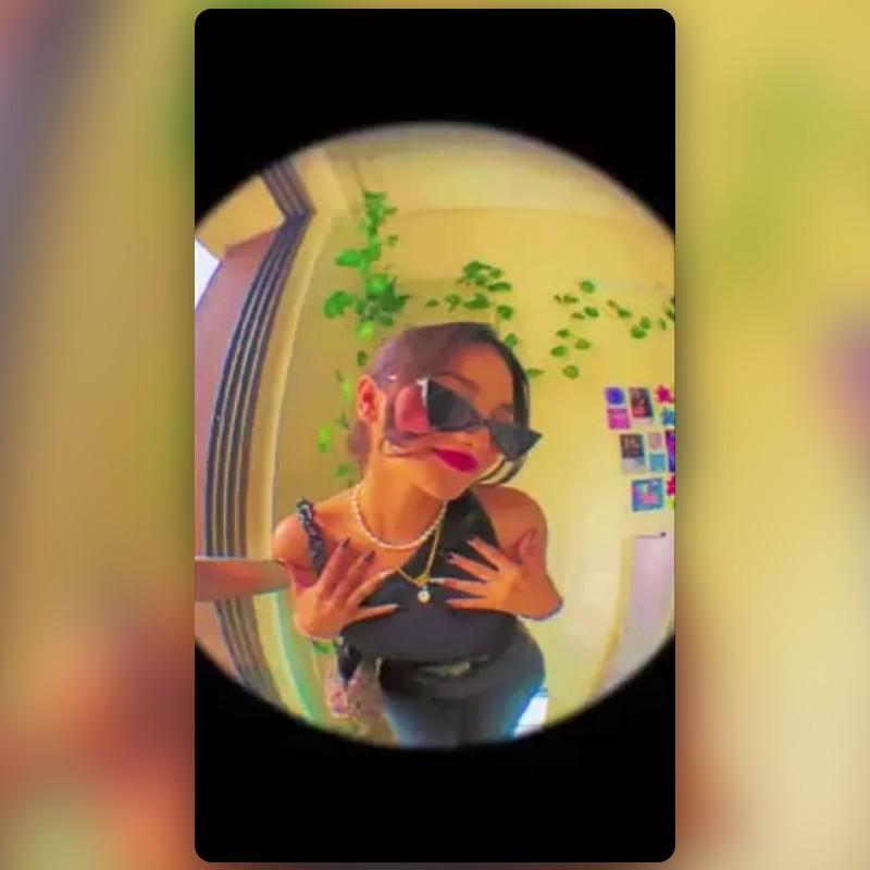 FISH EYE Filter by Vinayak Arshid® | Snapchat Lenses