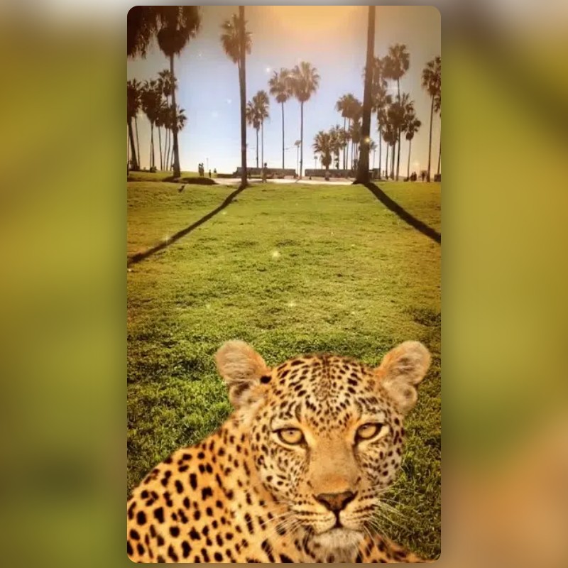 Leopard 🐆 Lens by Snapchat - Snapchat Lenses and Filters