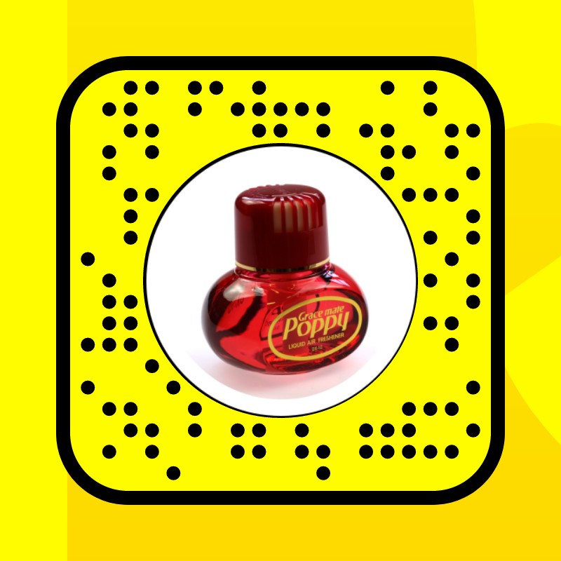Poppy Lens by 𝜬𝒉𝒊𝒍𝒊𝒑🤘 - Snapchat Lenses and Filters