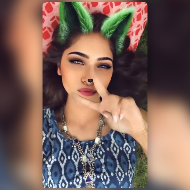 Green Ears Filter by Snapchat | Snapchat Lenses