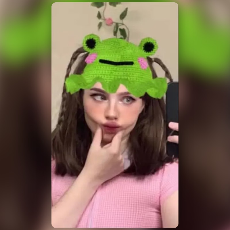 frog hat Filter by sashandiana | Snapchat Lenses