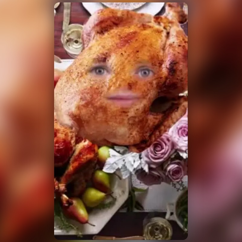 Smexy Turkey Filter by verunka🐆 | Snapchat Lenses