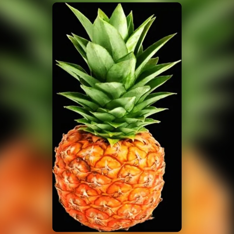pineapple Lens by charlie shaddock - Snapchat Lenses and Filters