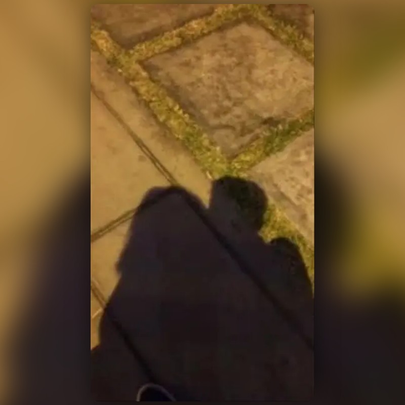 PARTNER SHADOW Lens by Shiv 🔱 - Snapchat Lenses and Filters