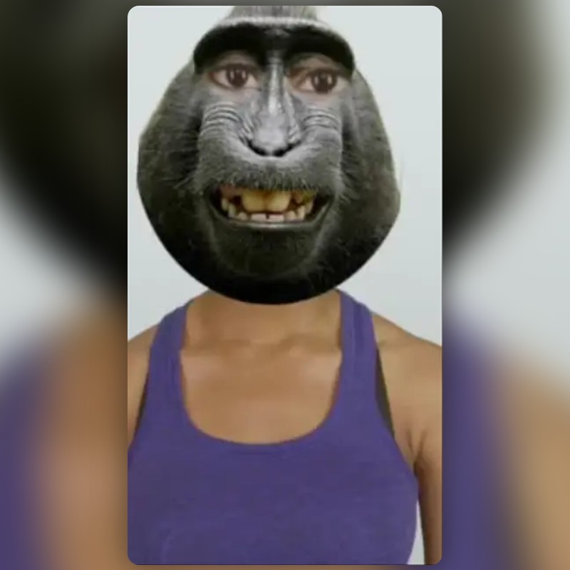 Monkey Lens by Lenszar - Snapchat Lenses and Filters