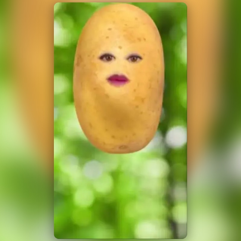 Patato Face FunLOL Lens by Sunny Bahadurpuria🎥 - Snapchat Lenses and ...