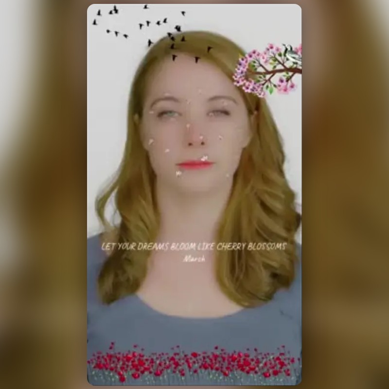 cherry blossom Filter by Ifraz 😈 | Snapchat Lenses